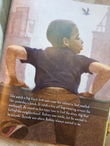 A Picture Book for Nature-Loving Kids: Where’s Rodney? by Carmen Bogan ...