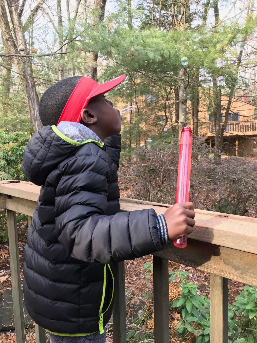 Seasons Change: Backyard Science Fun with Hero Elementary on PBS Kids ...